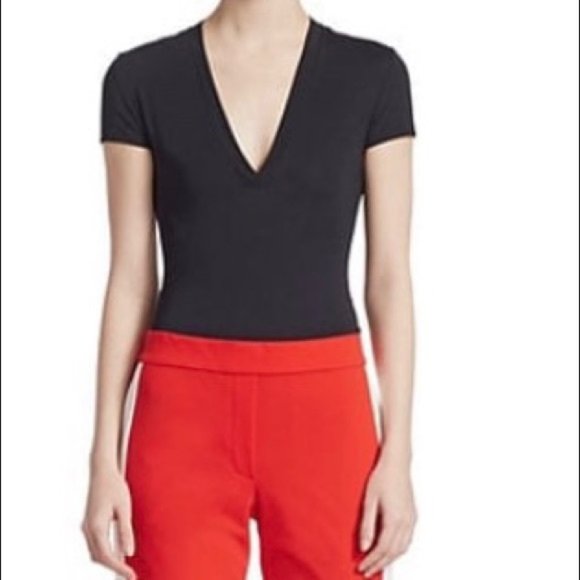 Theory | Tops | Theory V Neck Bodysuit | Poshmark